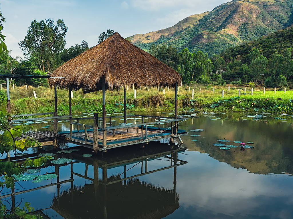 Çardak Nedir? Çardak Ne İşe Yarar? Çardak İle Kamelya Arasındaki Fark